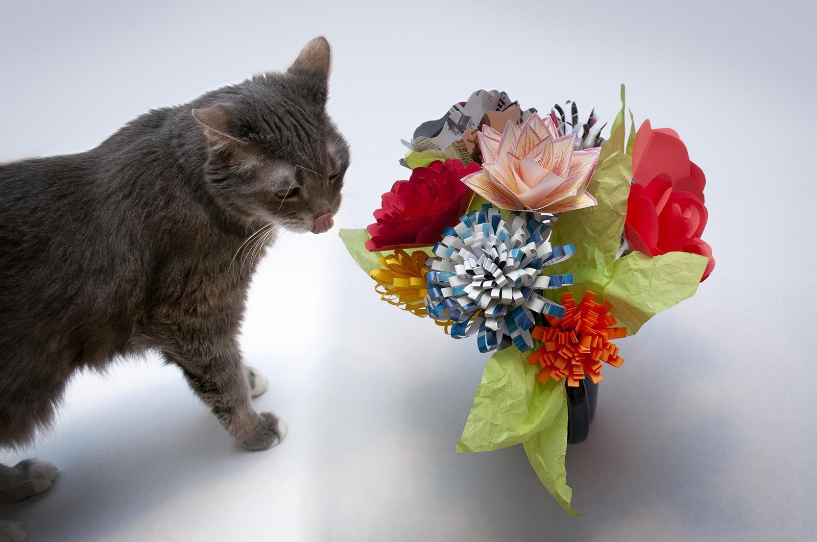 Kohl’s Art Studio at Home: Make Your Own Flower Still Life – Milwaukee ...