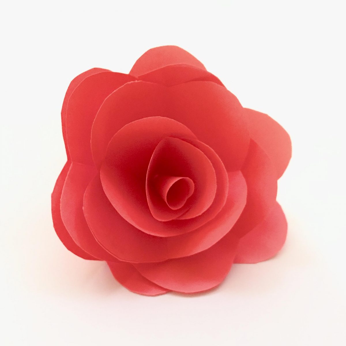 Kohl’s Art Studio at Home: Make Your Own Flower Still Life – Milwaukee ...